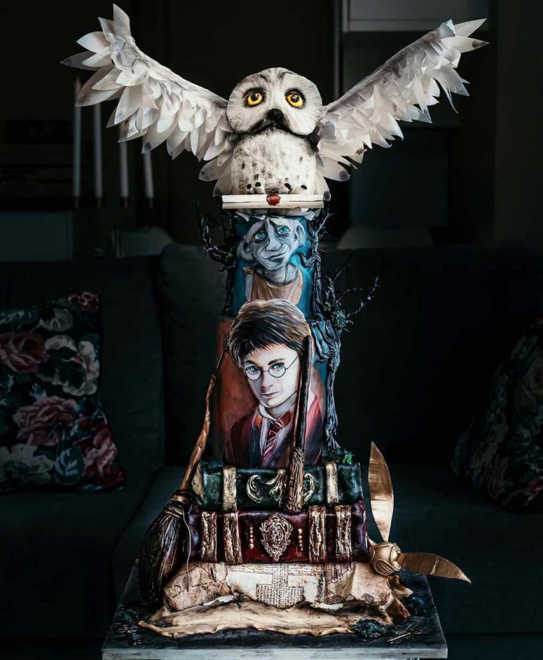 Hedwig & Harry Potter Cake - Between The Pages Blog